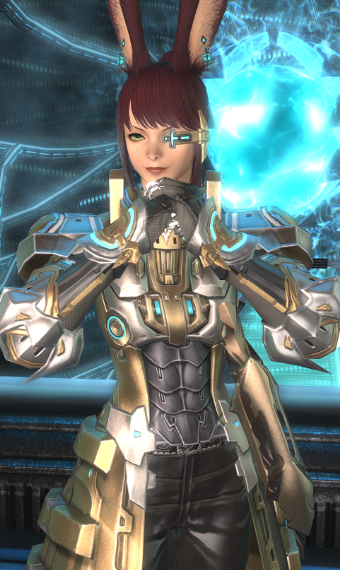 Integrated Technology | Eorzea Collection