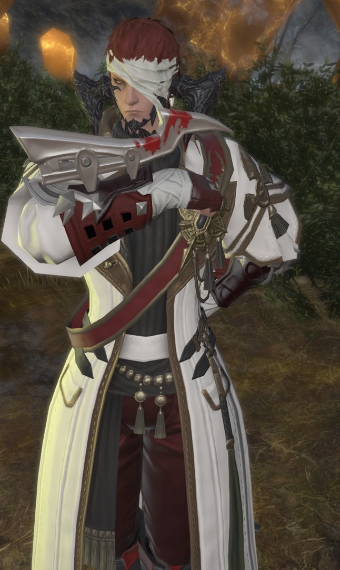 Battle Hardened Commander | Eorzea Collection
