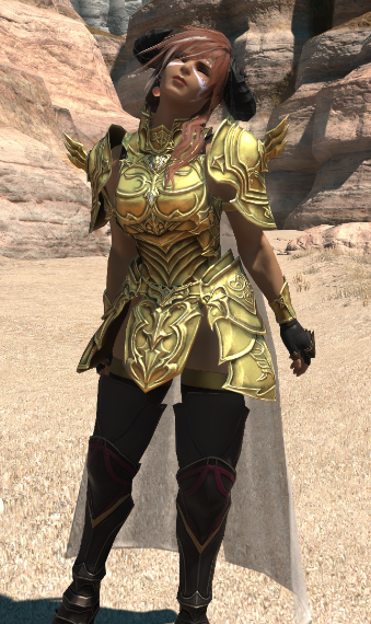 High End Meat Shield | Eorzea Collection