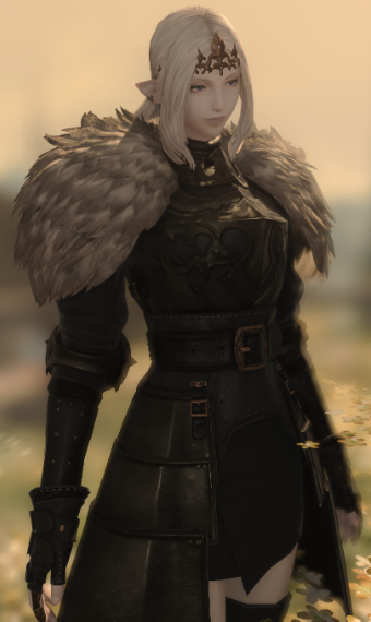 Awaiting Order | Eorzea Collection