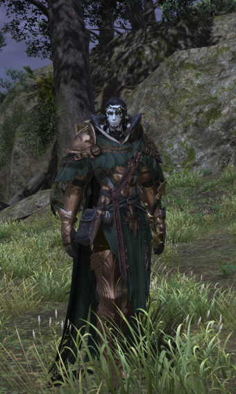 Forest Sentinel | Eorzea Collection