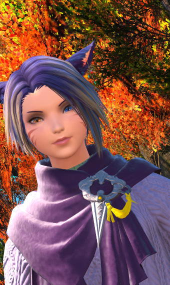 Autumn Eorzea Collection