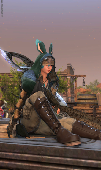 Hopeful Hunter | Eorzea Collection