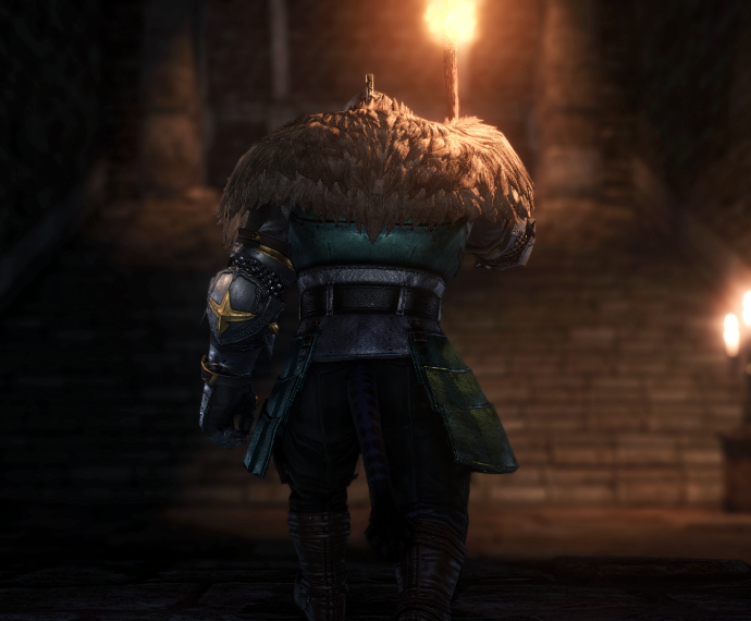 Faraam Knight (Dark Souls 2) | Eorzea Collection