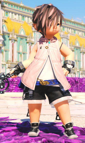 Sanctuary Eorzea Collection