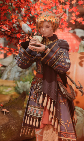 Harvest Hues | Eorzea Collection