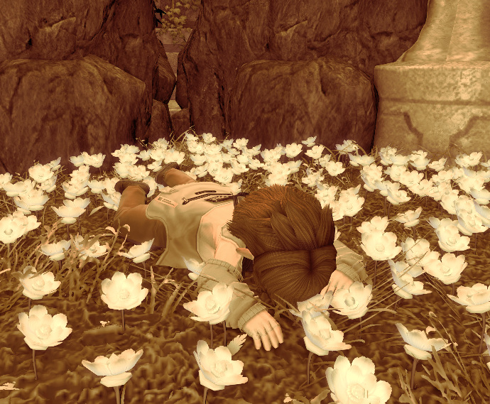 The Fallen Human [Chara | Undertale] | Eorzea Collection