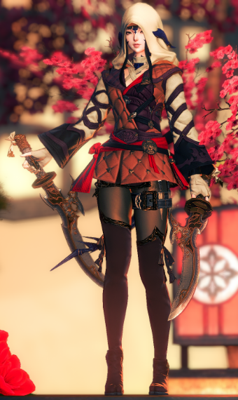 Assassin | Eorzea Collection