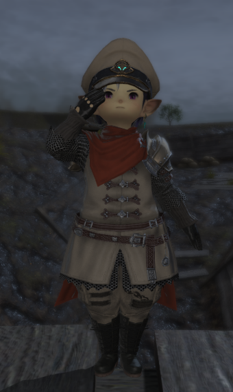 Imperial Guard Captain | Eorzea Collection