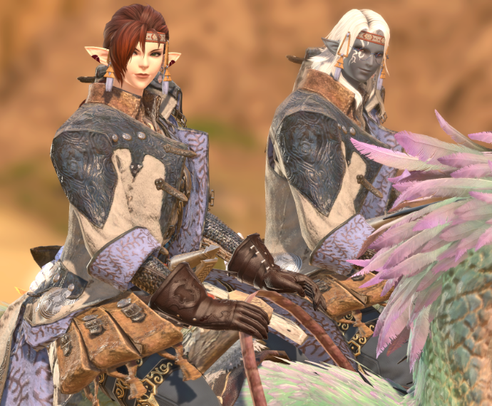 Hunters of the Scorching Desert | Eorzea Collection