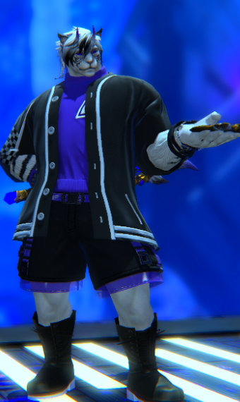 Solution 9 Backstreet Artist | Eorzea Collection