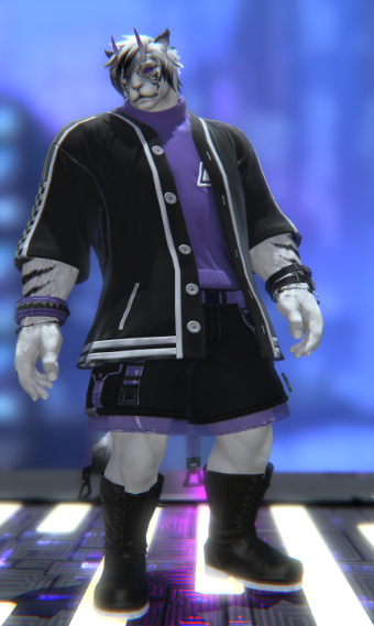 Solution 9 Backstreet Artist | Eorzea Collection