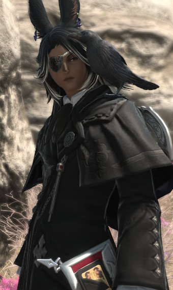 the crow tarot | Eorzea Collection