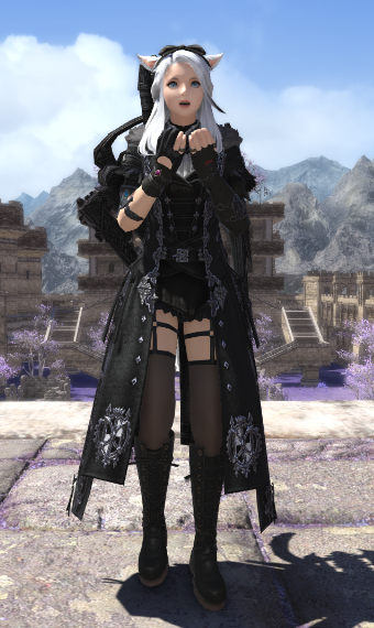 Explorer Cat | Eorzea Collection