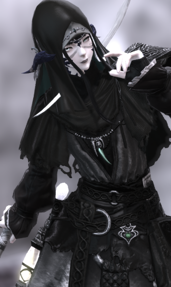 Cryptwalker | Eorzea Collection