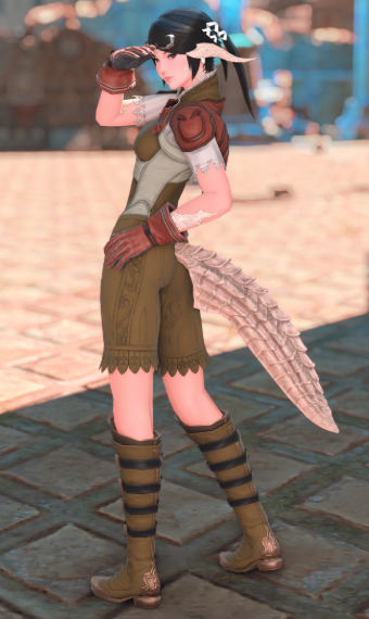 ace. | Eorzea Collection