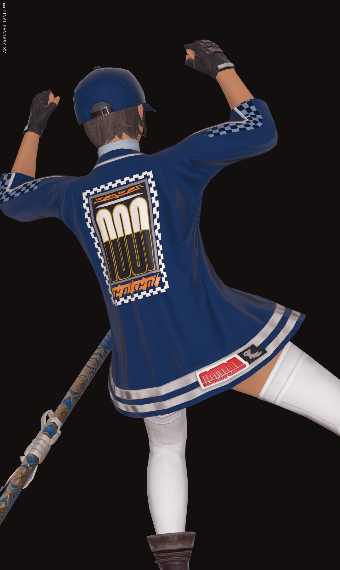 7.3 SAM | Eorzea Collection