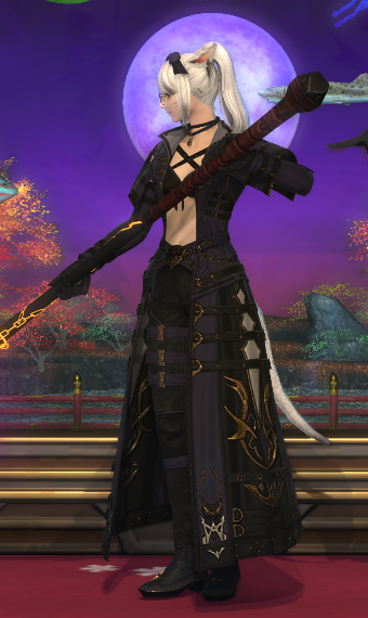 The Void's Assassin | Eorzea Collection