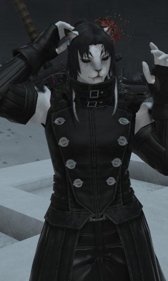 Dark Knight | Eorzea Collection