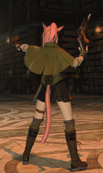 Bookworm | Eorzea Collection