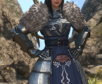 Highland Knight | Eorzea Collection