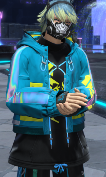 Floppy Disk | Eorzea Collection