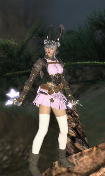 Forest Adventure | Eorzea Collection