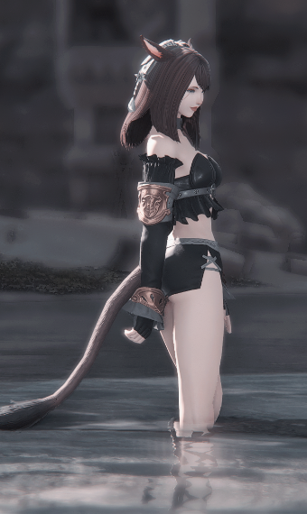 lost dream | Eorzea Collection