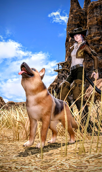 Meowdy Pard'ner - Western Desert Cowboy Fit | Eorzea Collection