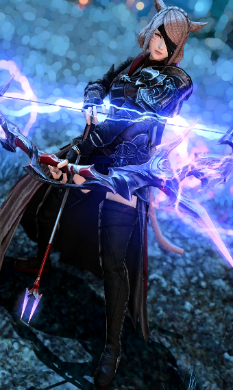 Deepshadow Hunter | Eorzea Collection