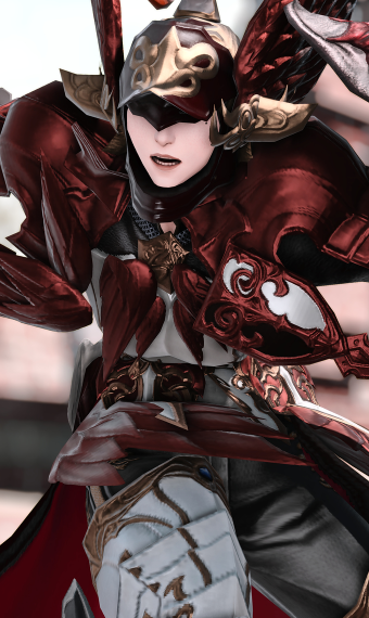 Ruby Wing: Shield and Destruction | Eorzea Collection