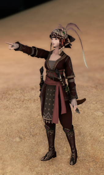 Crimson Desert Assasin Eorzea Collection