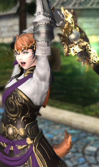 Princess Guard | Eorzea Collection