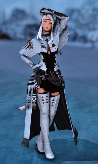 Through winter | Eorzea Collection