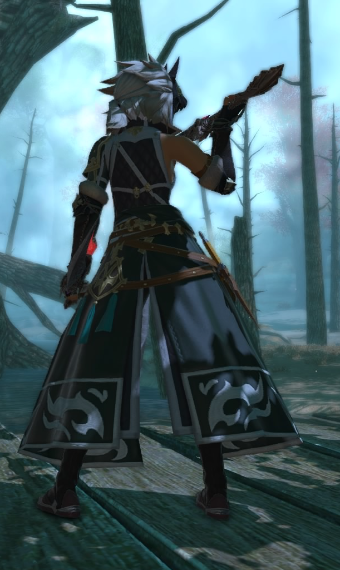 Silent Wolf | Eorzea Collection