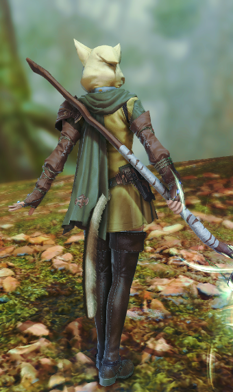 Hooded Healer | Eorzea Collection