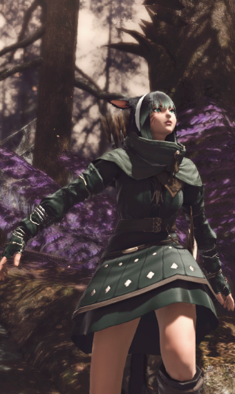 Forest Guide | Eorzea Collection