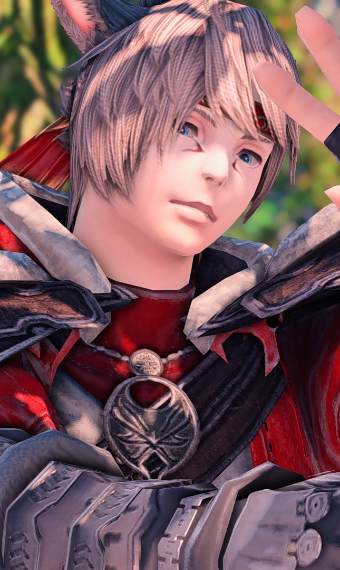Ruby Guard | Eorzea Collection