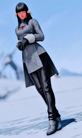 Through winter | Eorzea Collection