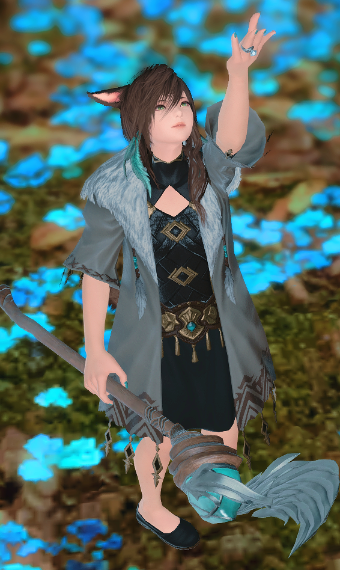 Earthbound | Eorzea Collection