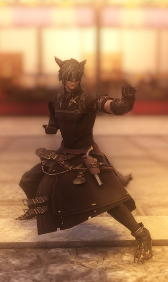 Black Cat | Eorzea Collection