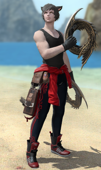 Air Thordans Tracksuit | Eorzea Collection