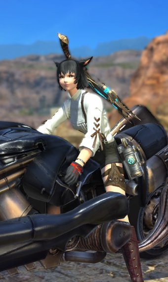 Lady DMC3 | Eorzea Collection