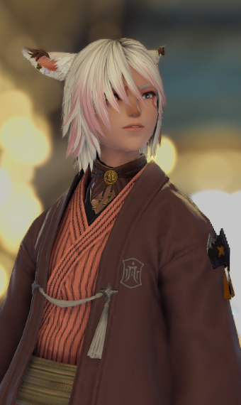 Glamour Collection | Eorzea Collection