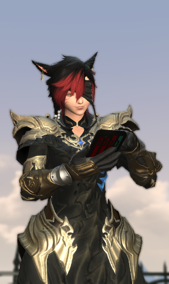 Insert Witty Name Here | Eorzea Collection
