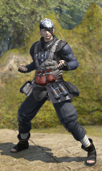 Medical Ninja | Eorzea Collection