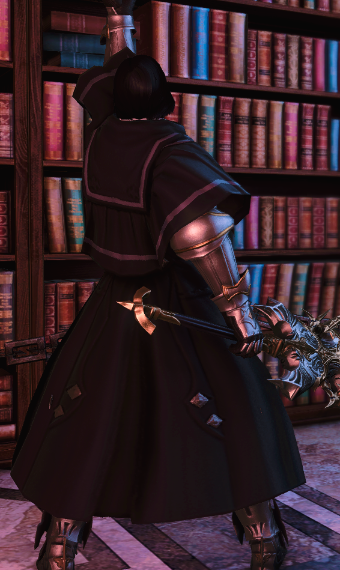 Armored Wizard | Eorzea Collection