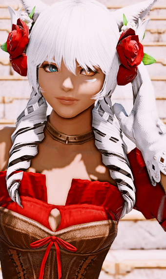 Healer of Devotion | Eorzea Collection