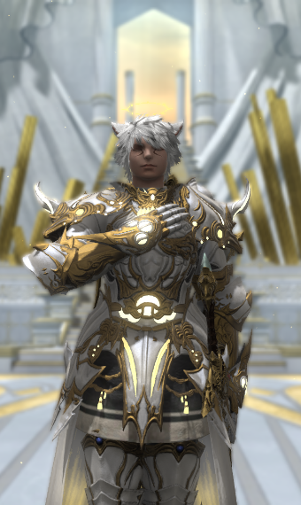 Holy Paladin | Eorzea Collection