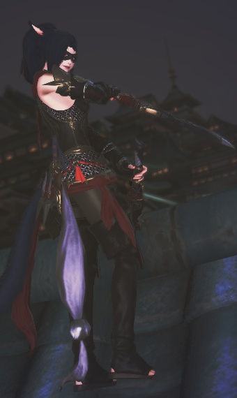 Ninja Thief | Eorzea Collection